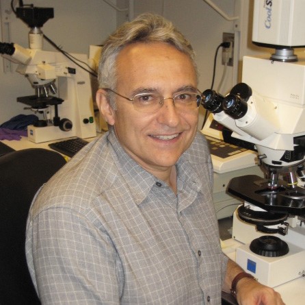 Victor Corces, PhD - HERCULES Exposome Research Center